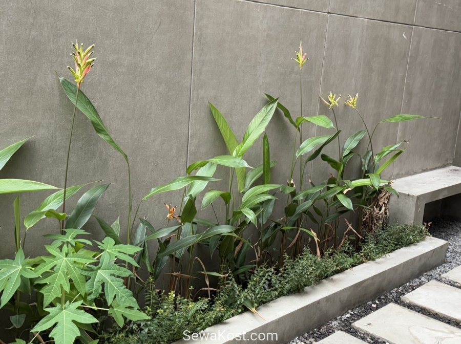 Kosan Industrial Cozy untuk Putra – Jemursari, Wonocolo, Sur - Kost ...