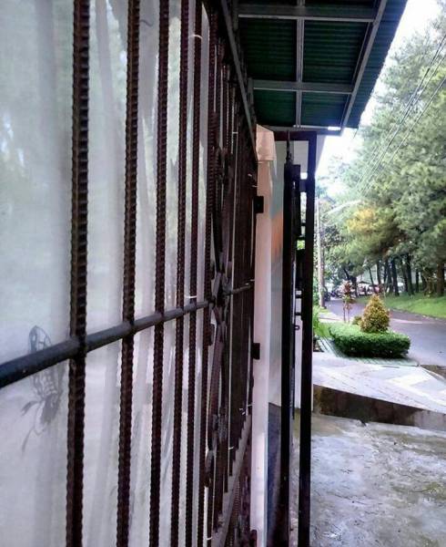 Palm Raja Kost - Kost