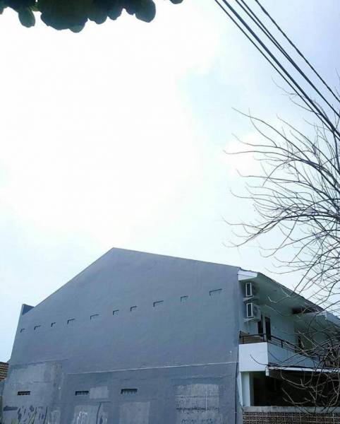 Palm Raja Kost - Kost