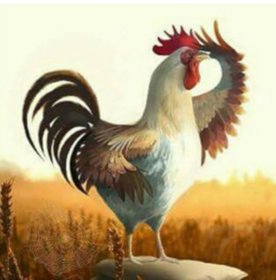 Kost Lengkap Panjer Denpasar - Kost Pancoran Jakarta Selatan